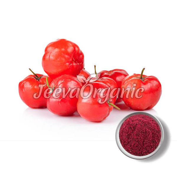 Acerola Cherry Powder Manufacturer & Supplier – B2B Supply