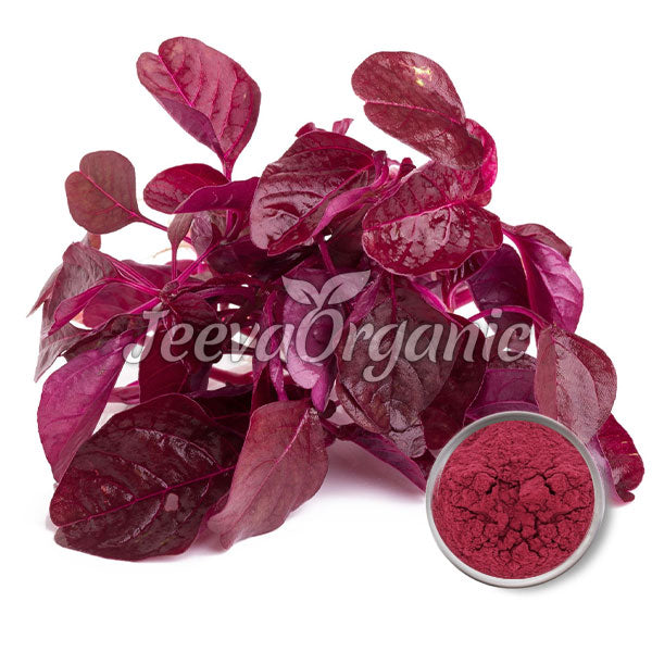 Bulk Amaranthus Leaf Extract Powder 9% Nitrates Supply