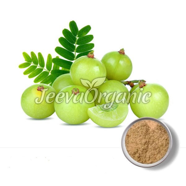 Amla Fruit Extract Powder Supplier - Indian Gooseberry Powder