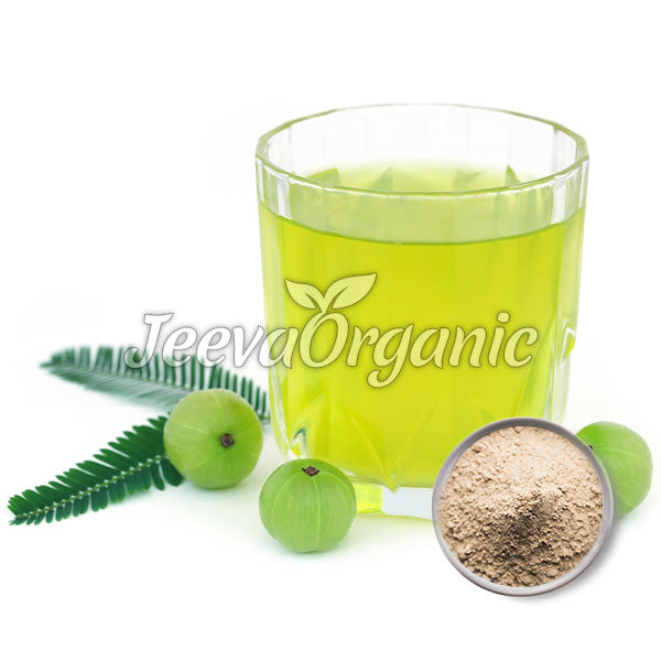Bulk Amla Liquid Extract 10:1 Supplier