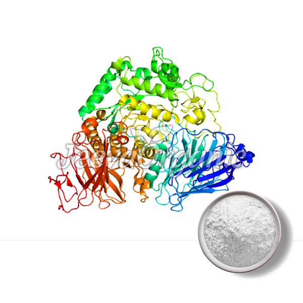 Bulk Amyloglucosidase Powder 3000 Agu/g Supplier