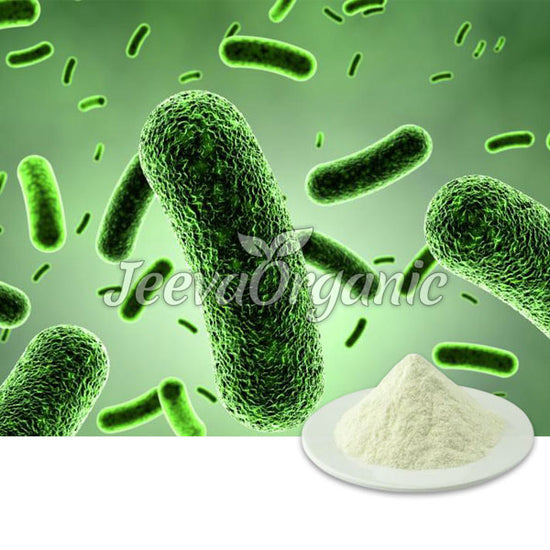 Bacillus clausii Powder 30 B cfu/gm