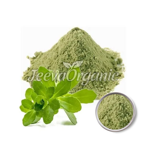 Bulk Bacopa Powder (Bacopa monnieri) Supplier