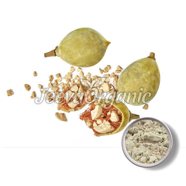 Bulk Baobab Powder (Adansonia digitata) Supplier