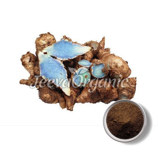 Bulk Black Turmeric (Curcuma caesia) Supplier