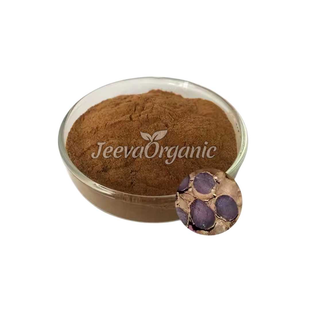 Thai Black Ginger Root Extract Powder 5:1