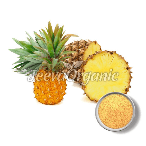 Bulk Bromelain Powder Supplier – 2400 GDU