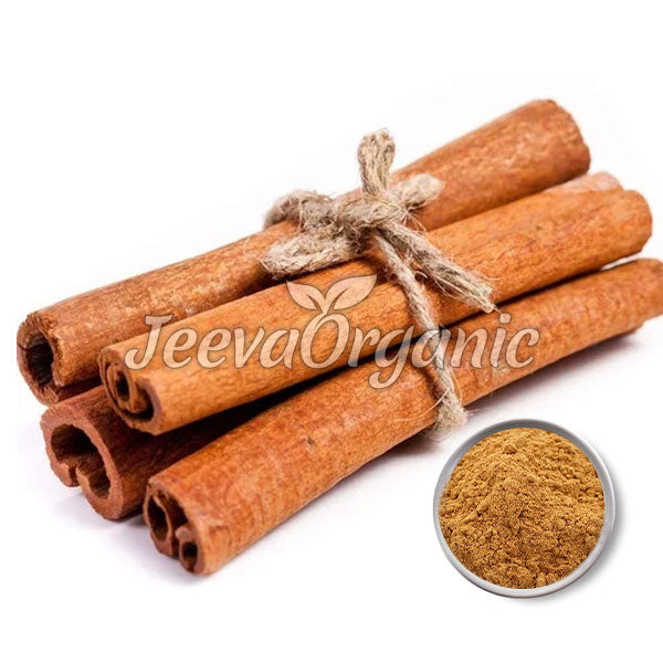 Cassia Cinnamon Bark Extract Powder 10:1 Bulk Wholesale | Jeeva Organic