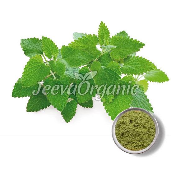 Affordable Catnip Powder Supplier | Bulk Catnip Powder Supplier