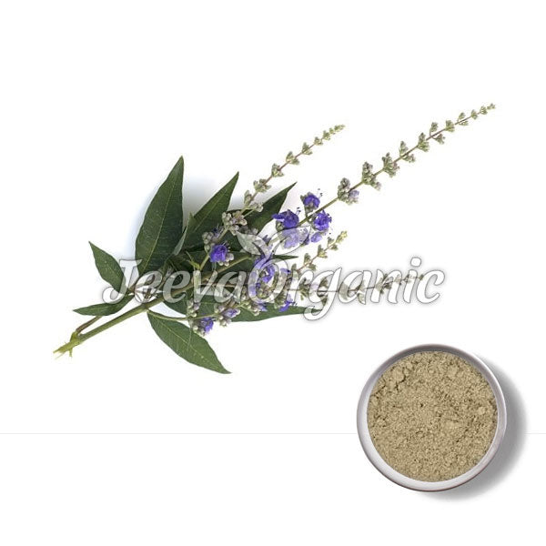 Bulk Chaste Tree Powder Supplier