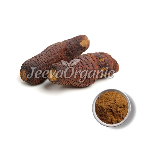 Bulk Cistanche Extract Powder Supplier - 25% Echinacoside