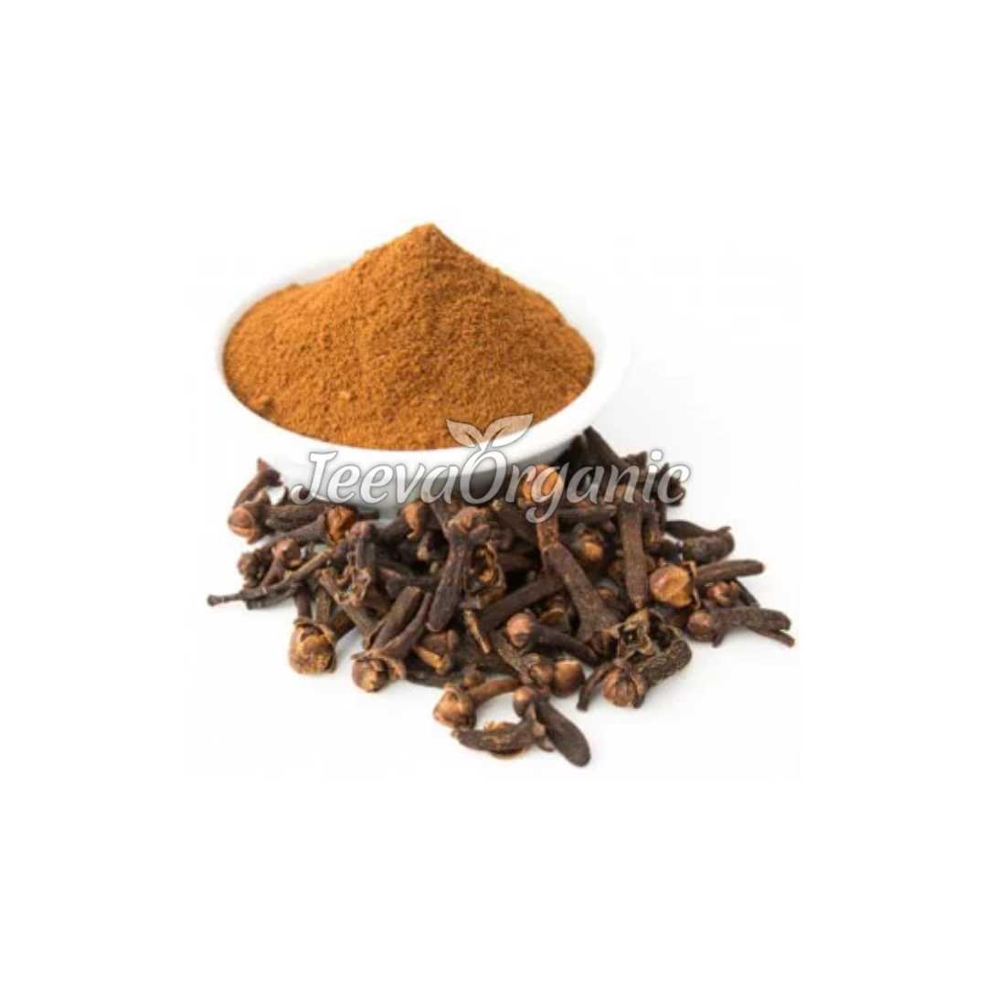 Clove Extract Powder 10:1 | Syzygium aromaticum
