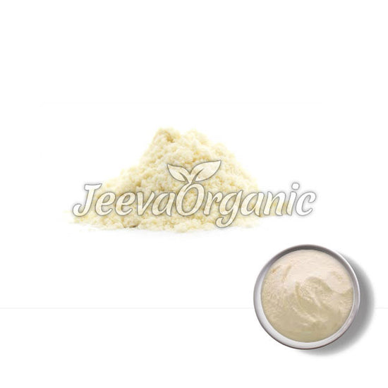 Bulk Colostrum Powder Supply