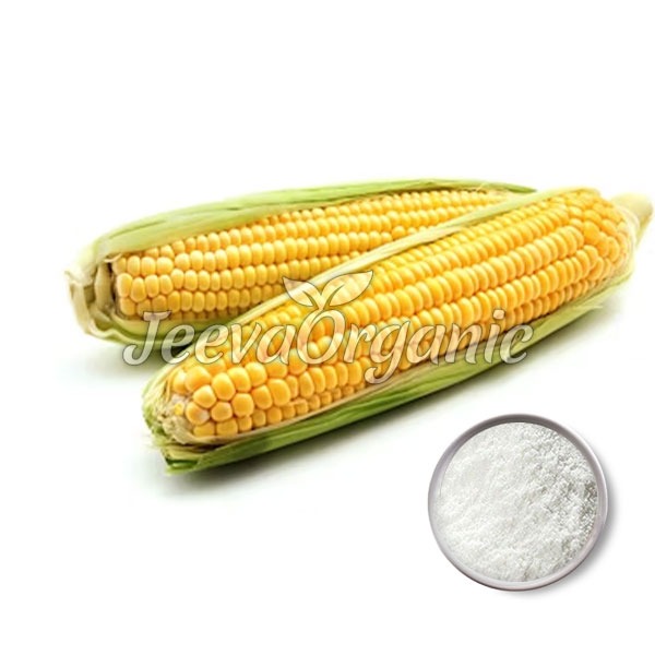 Bulk Corn Protein Powder 60% Supplier