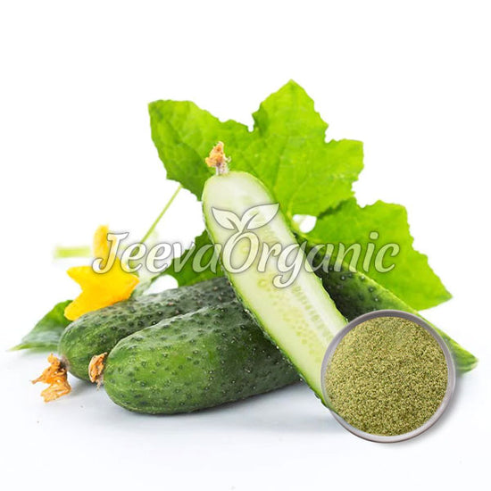 Cucumber Extract (Cucumis sativus) | 4:1 Ratio