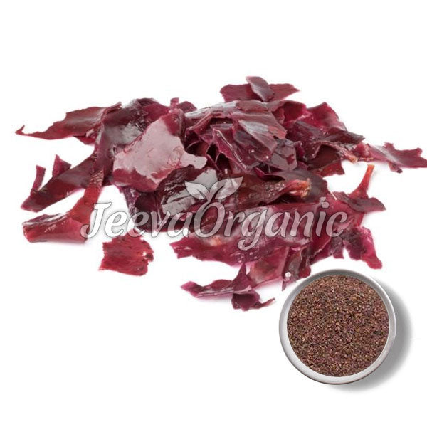 Bulk Dulse Granules (Palmaria palmata) Supplier