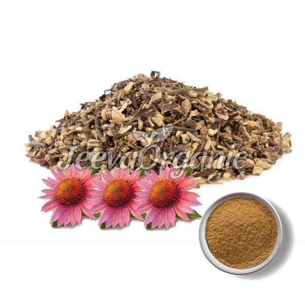Bulk Echinacea Root Powder (Echinacea purpurea) Supplier