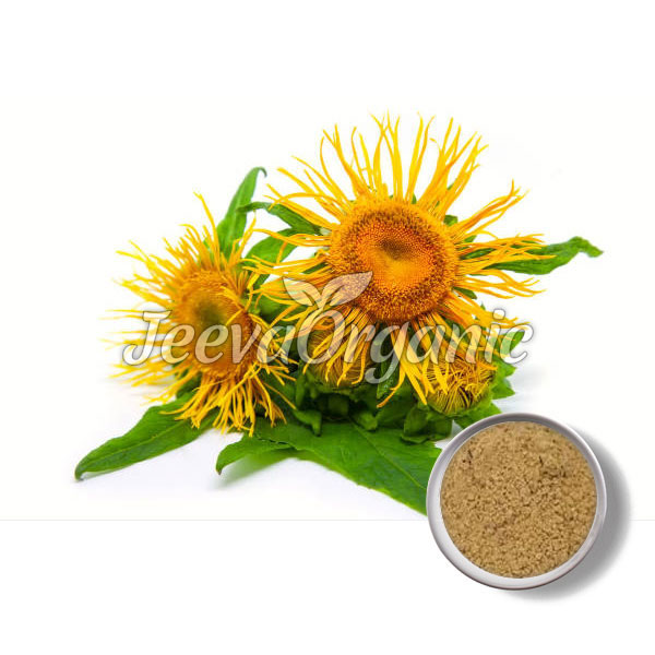 Bulk Elecampane Powder (Inula helenium)