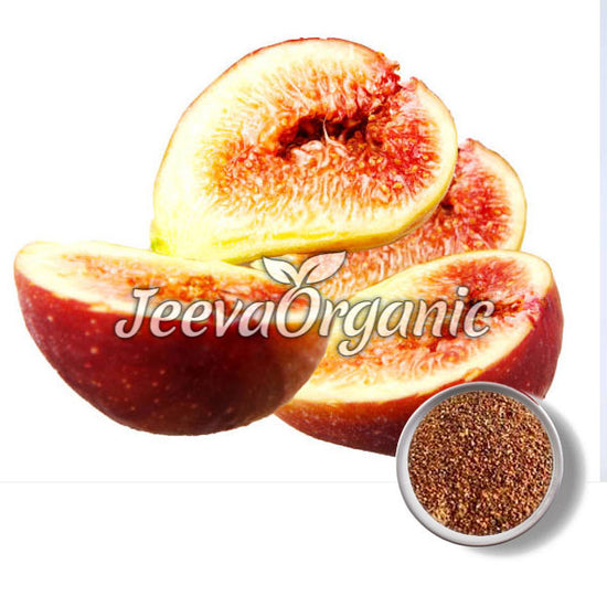 Bulk Figs Natural Powder (Ficus carica)