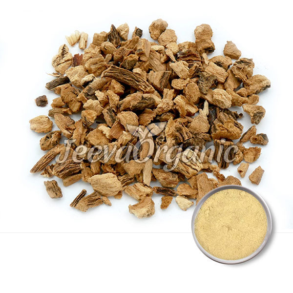 Gentian Root Powder (Gentiana lutea) Supplier