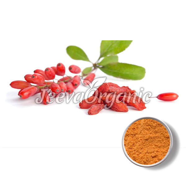 Goji Berry Extract Powder 10:1 Bulk Ingredient