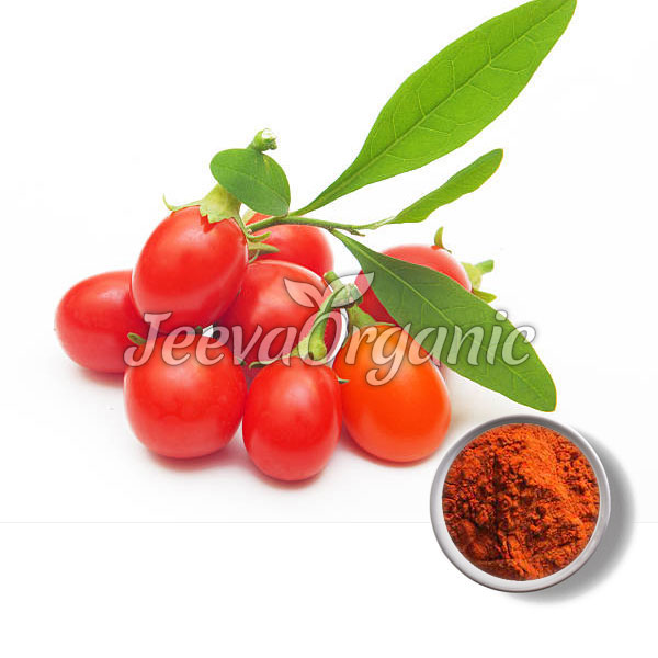 Goji Berry Powder (Lycium barbarum) Supplier