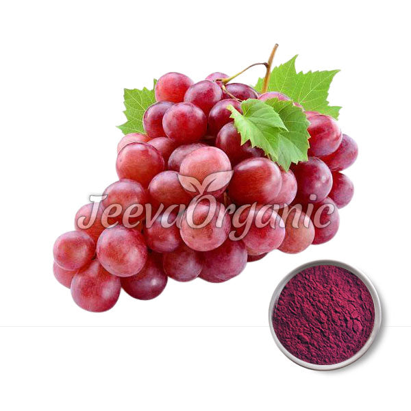 Grape Seed Extract Powder (Vitis vinifera) Supplier