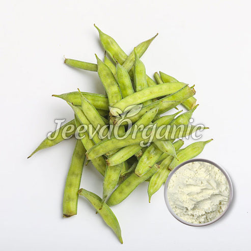 Guar Gum Fiber Powder Supplier - Cyamopsis Tetragonoloba