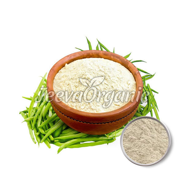Guar Gum Powder (Cyamopsis tetragonoloba) Supplier