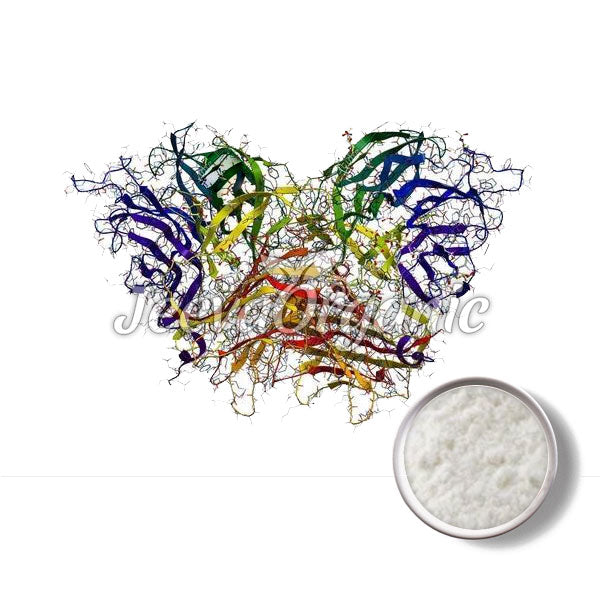 Bulk Enzymes Powder Manufacturer & Supplier