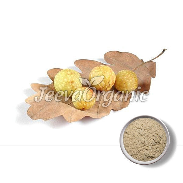 Bulk Oak Gall (Quercus infectoria) Powder Supply