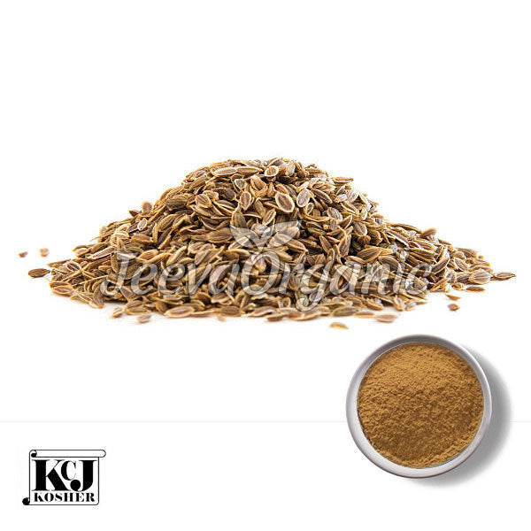 B2B Dill Seed Powder (Anethum graveolens)