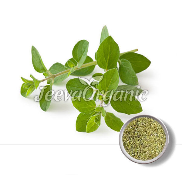 Bulk Organic Oregano Powder Supplier