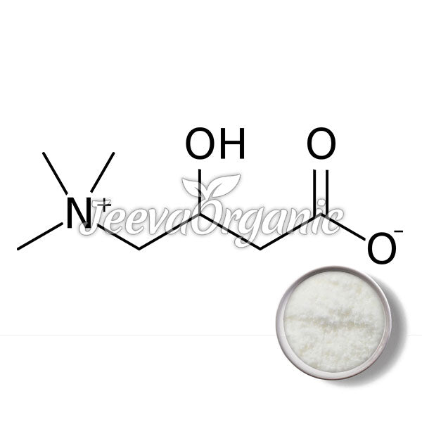 Bulk L-Carnitine Base Powder Supplier