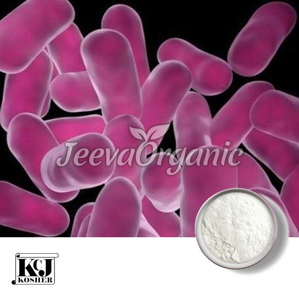 Lactobacillus acidophilus Powder 25 Billion CFU/g