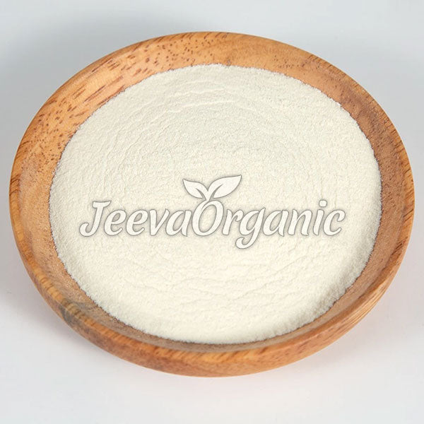 Buy Lactobacillus reuteri Powder in Bulk Online