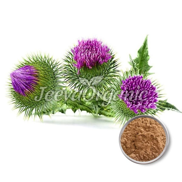 Milk Thistle Extract Granule 80% Silymarin