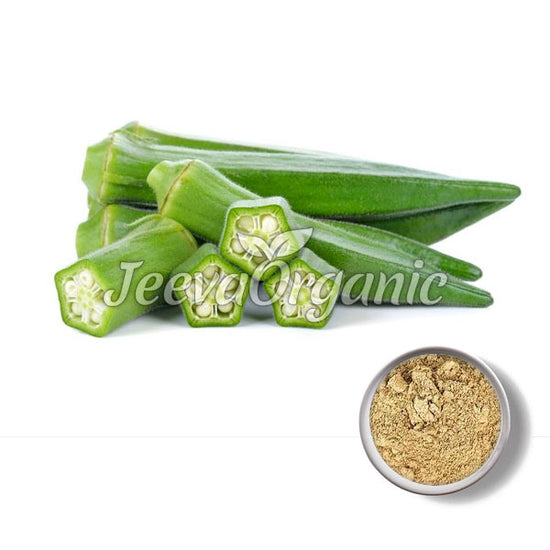 Bulk Okra Powder (Abelmoschus esculentus) Supplier
