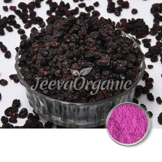 Bulk Organic Black Currant Powder Supplier