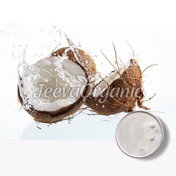 Bulk Organic Coconut Water Powder Supplier