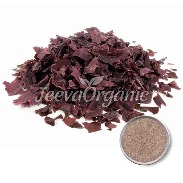 Organic Dulse (Palmaria palmata) Powder Supplier