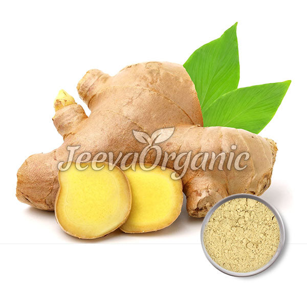 Bulk Organic Ginger Powder Supplier