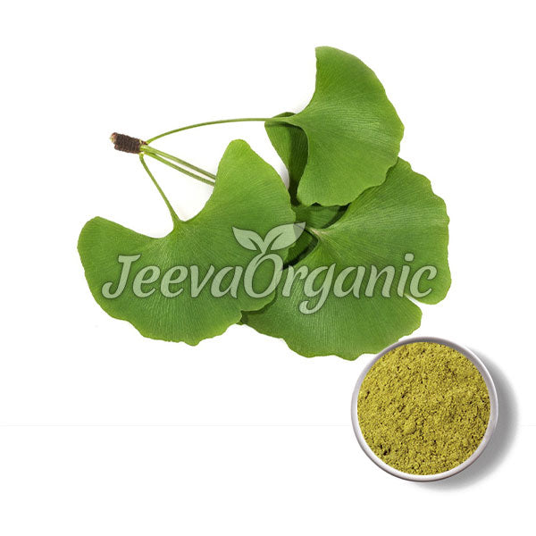Ginkgo Powder (Ginkgo biloba) Supplier
