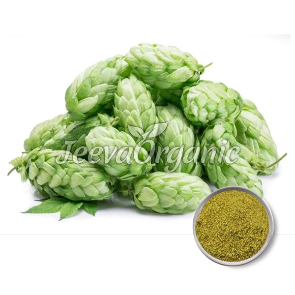Bulk Organic Hops Powder Supplier