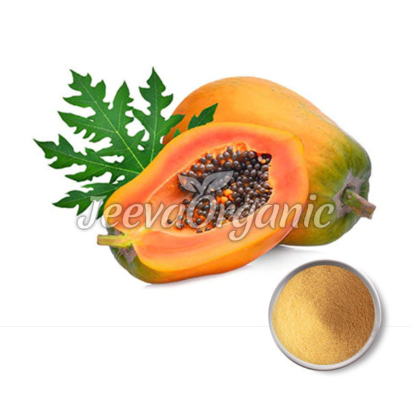 Bulk Papaya Fruit Extract Powder 4:1 Supplier