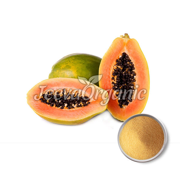 Bulk Papaya Extract Powder 5:1 Supplier
