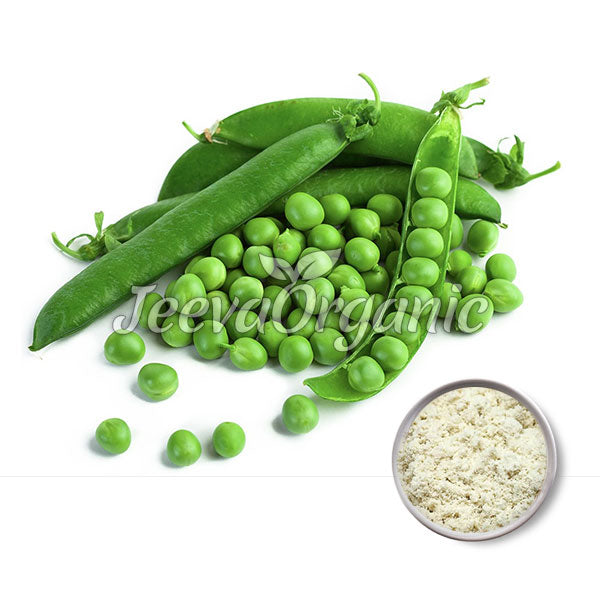 Pea Protein (Pisum sativum) Powder Manufacturer & Supplier