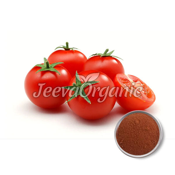 Bulk Organic Tomato Powder Supplier