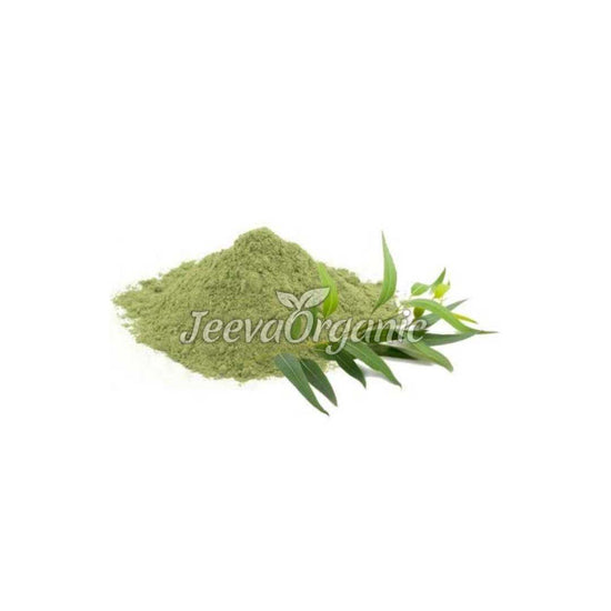 Bulk Organic Eucalyptus Powder Supplier