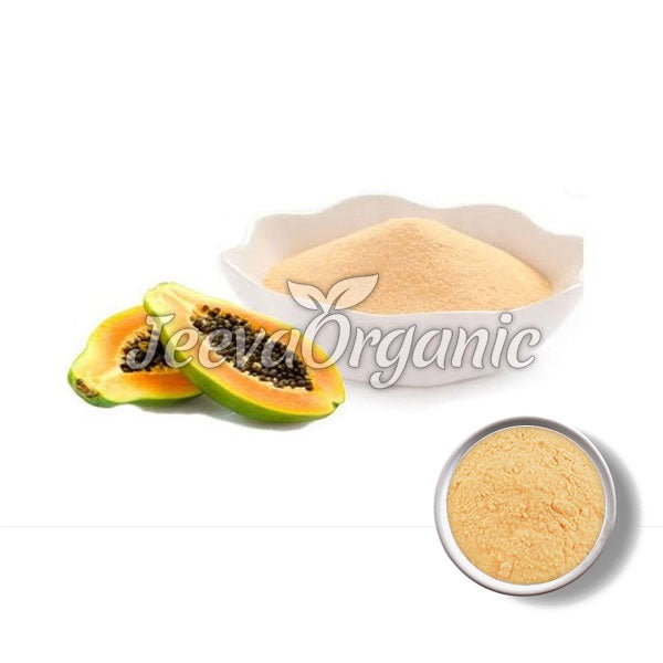 Bulk Papain Powder 8000 PU Supplier